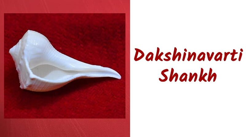 Dakshinavarti Shankh Puja Product Uses and Benefits