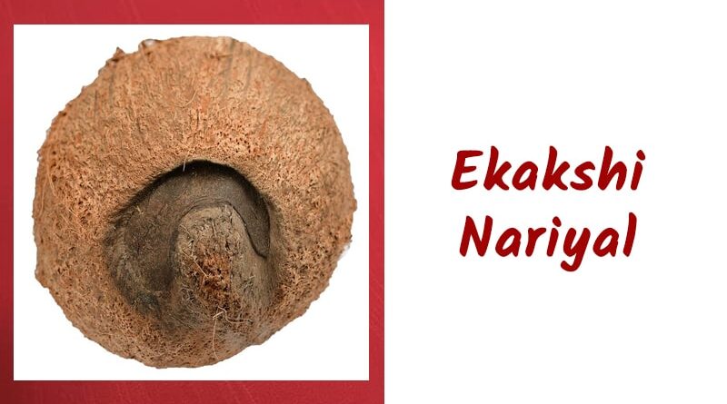 Ekakshi Nariyal (One Eye Coconut), Uses & Benefits of One Eye Coconut