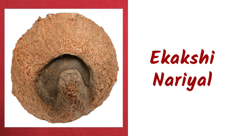 Ekakshi Nariyal (One Eye Coconut), Uses & Benefits of One Eye Coconut