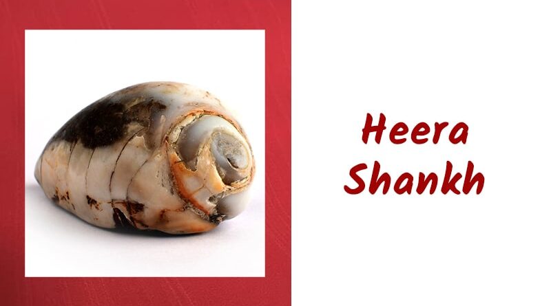 Heera Shankh | Uses and Benefits of Heera Shankh Puja Product
