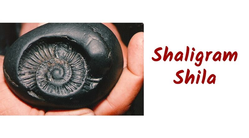Shaligram Shila all Information with Uses and Benefits