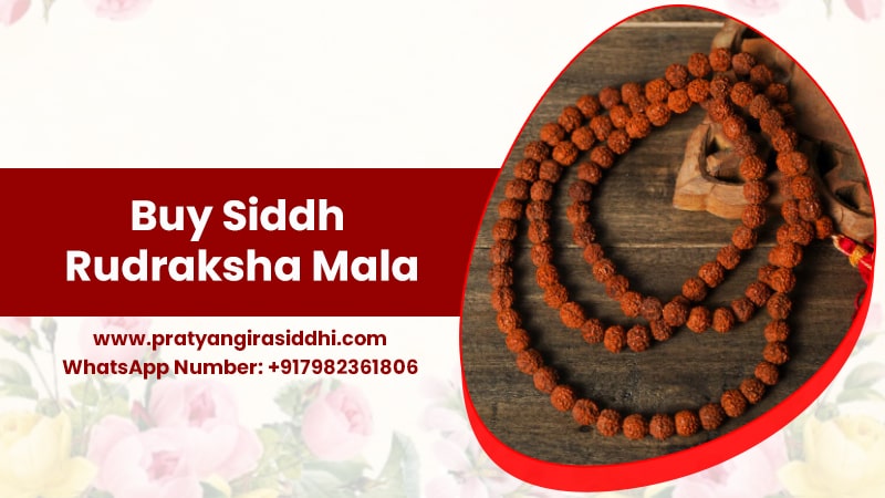 Buy Siddh Rudraksha Mala for Diwali Puja - Pratyangira Siddhi